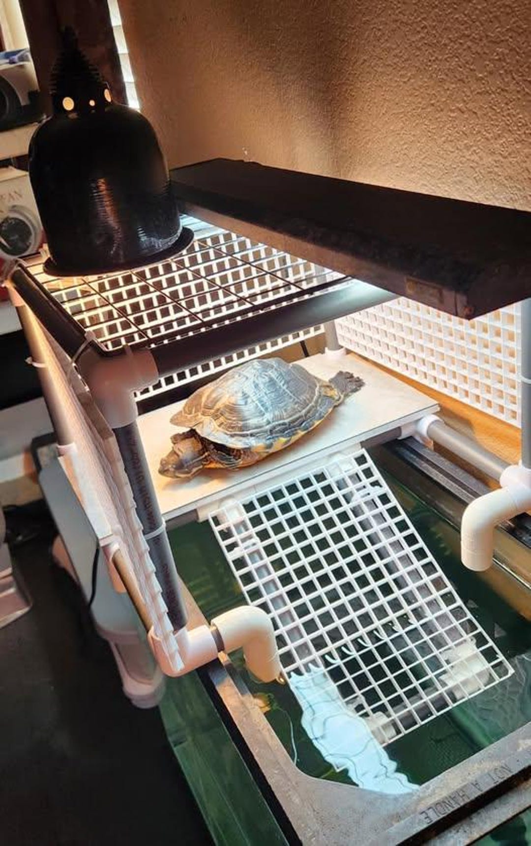 Tank Topper Turtle Dock! Sits on Top of Your Aquarium and Fits 12-13 ...