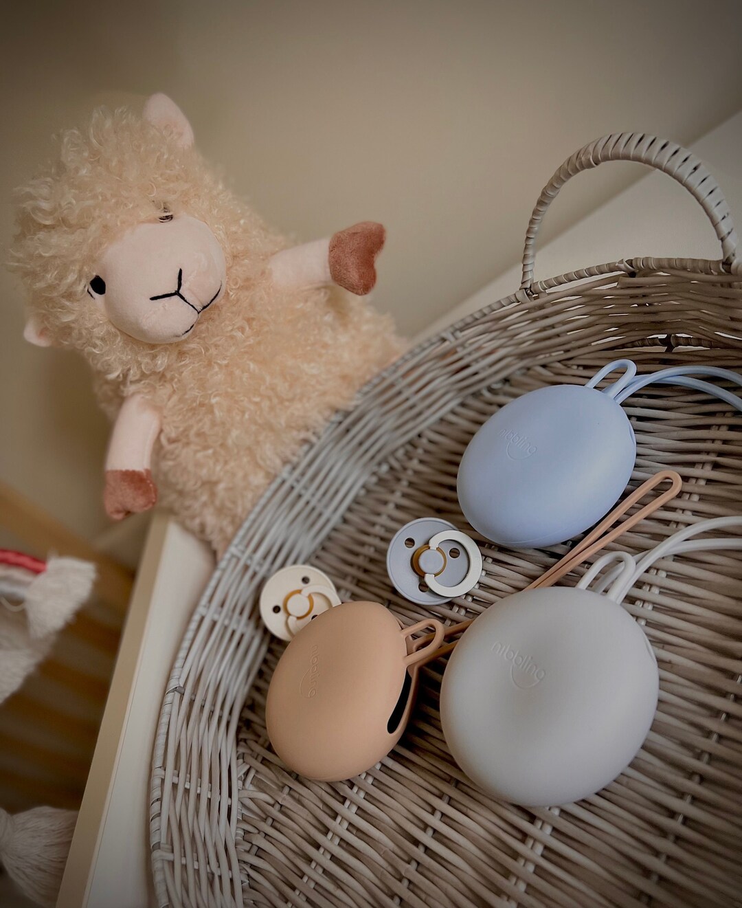 Dummy Case Silicone Dummy Holder Silicone Dummy Storage Dummy Container ...