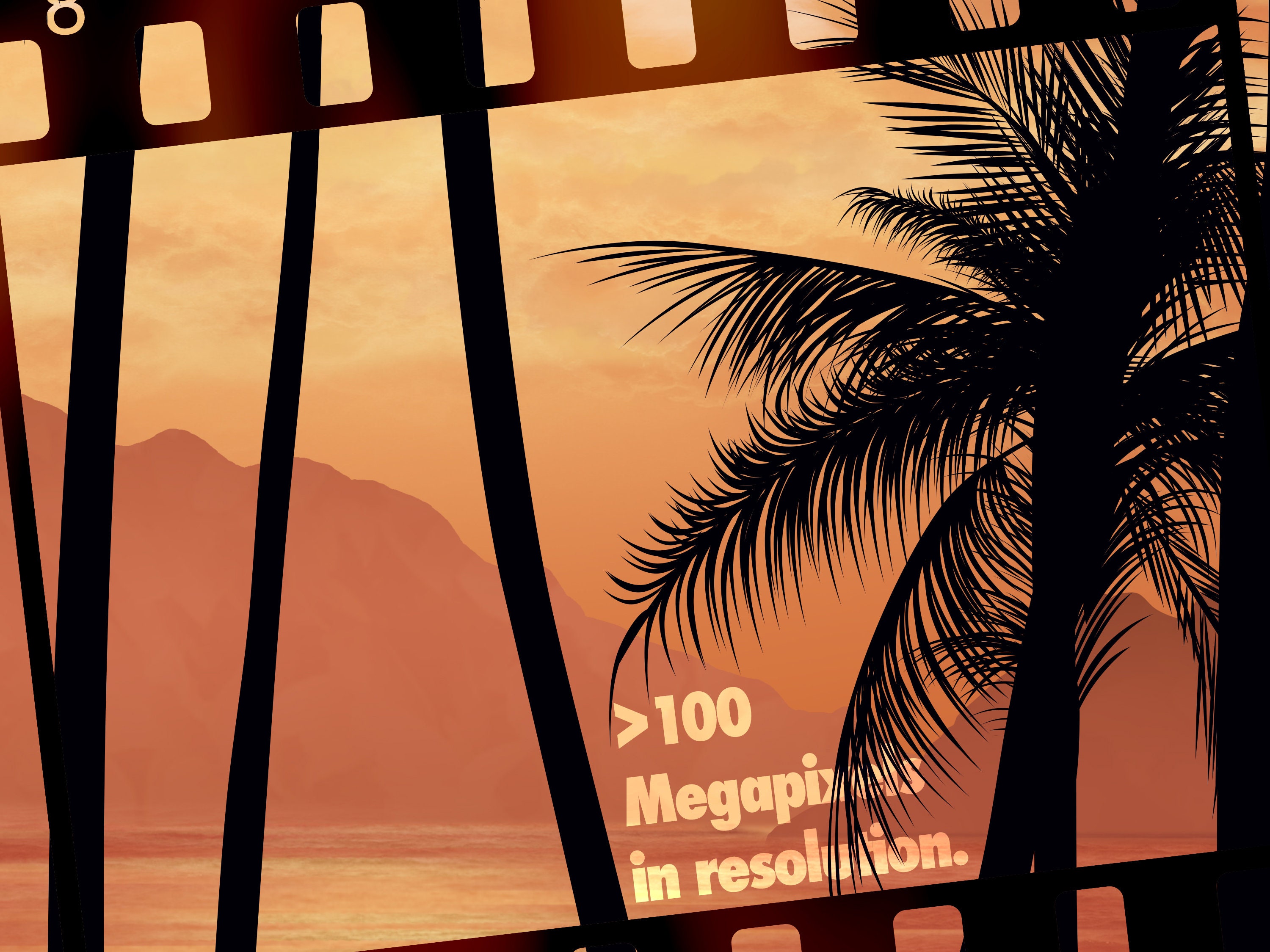 Scarface Tropical Loopable Wallpaper DOWNLOAD - Etsy Canada