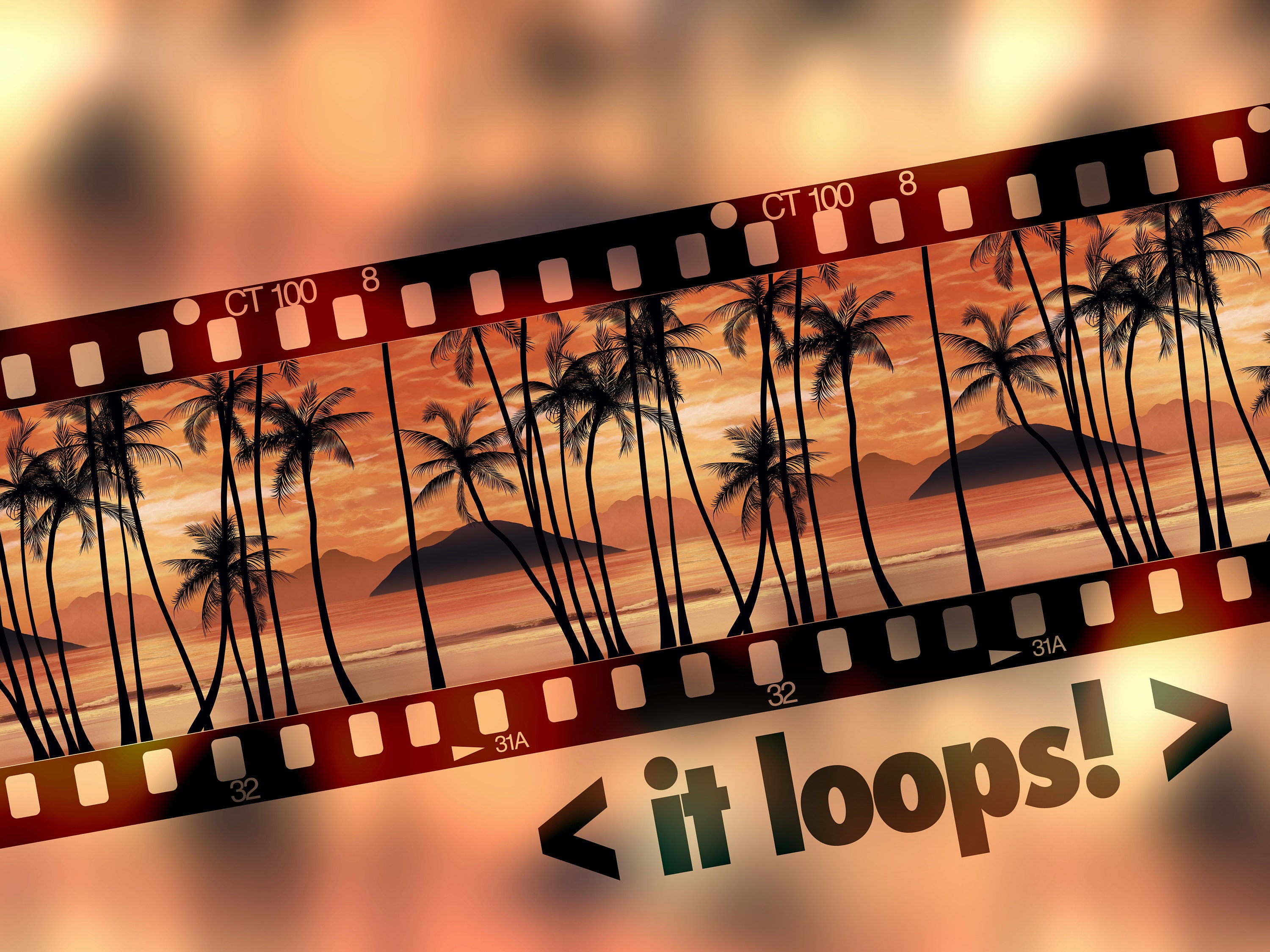 Scarface Tropical Loopable Wallpaper DOWNLOAD - Etsy