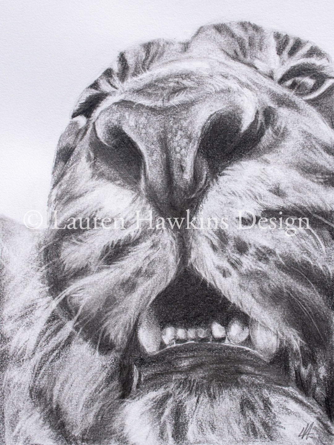 Tiger Face Graphite Drawing Original Artwork Sketch Fine Art - Etsy