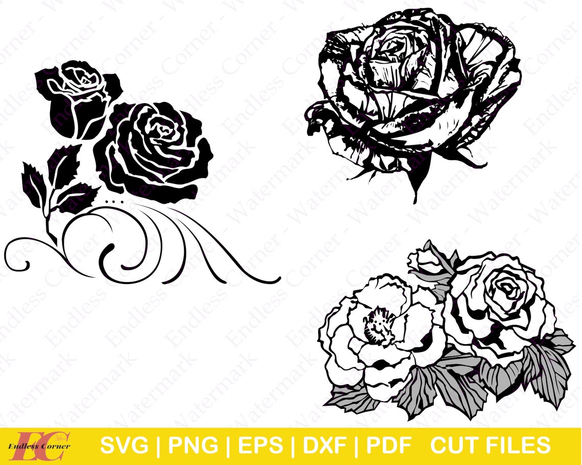 3 Roses SVG Cut File Designs, Digital Drawings Instant Download, Clip ...