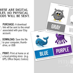 Animal Color Flashcards, Educational Flashcards, Visual Aids, Instant ...