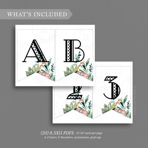 Fiesta Cactus Graduation Banner, Alphabet A-Z, Numbers & Punctuation ...