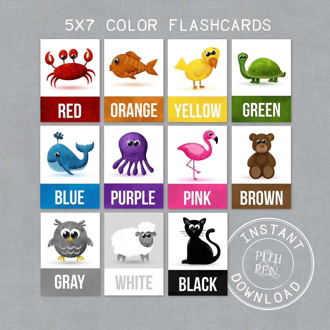 Animal Color Flashcards, Educational Flashcards, Visual Aids, Instant ...