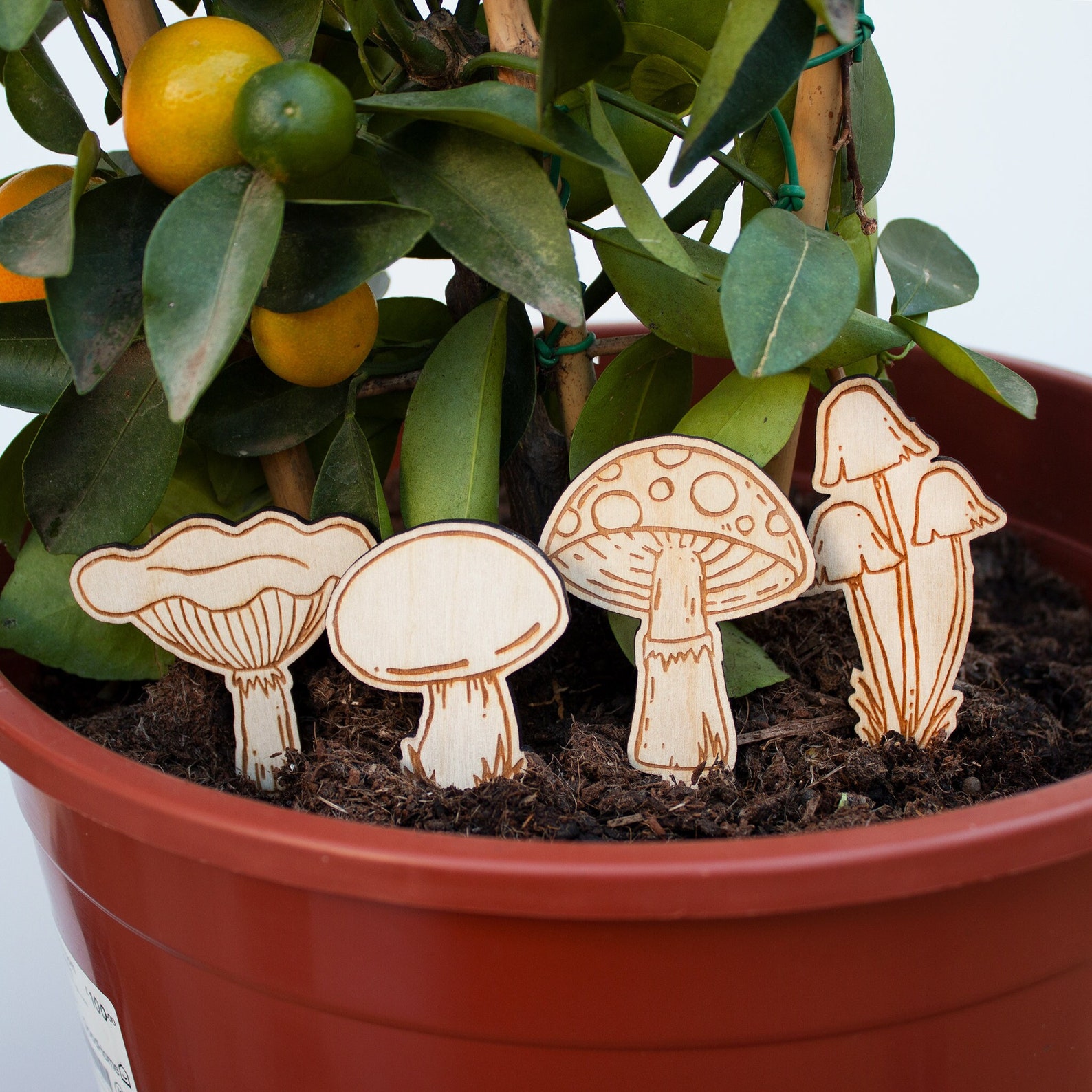 Decoraciones de jardín de setas de madera 4 adornos de | Etsy