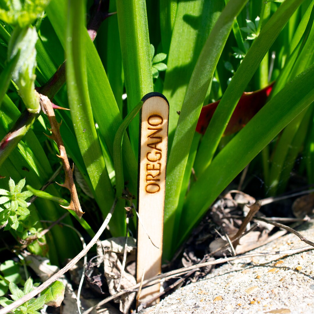 Custom Plant Labels, Herb Garden Markers, Personalised Wooden Garden ...