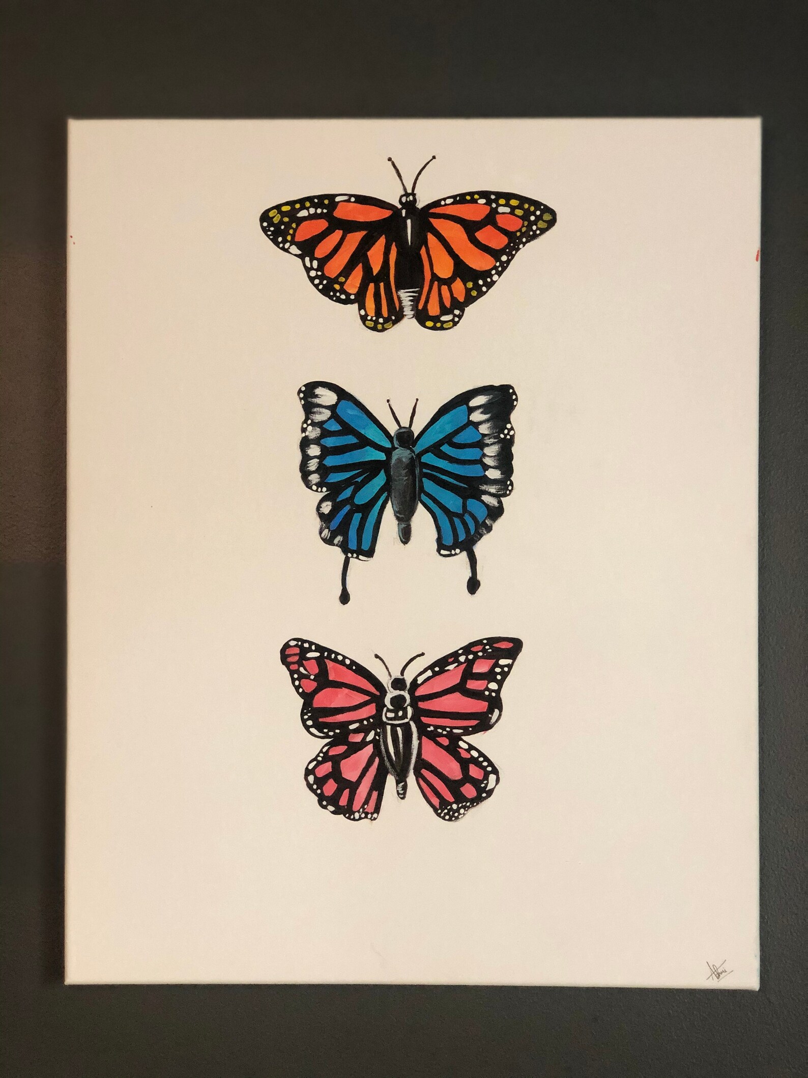 The Butterfly Collection - Etsy