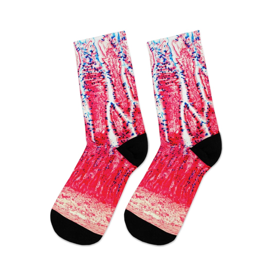 Small Intestine Goblet Cells Histology Socks, Pathology Gift, GI Nurse ...