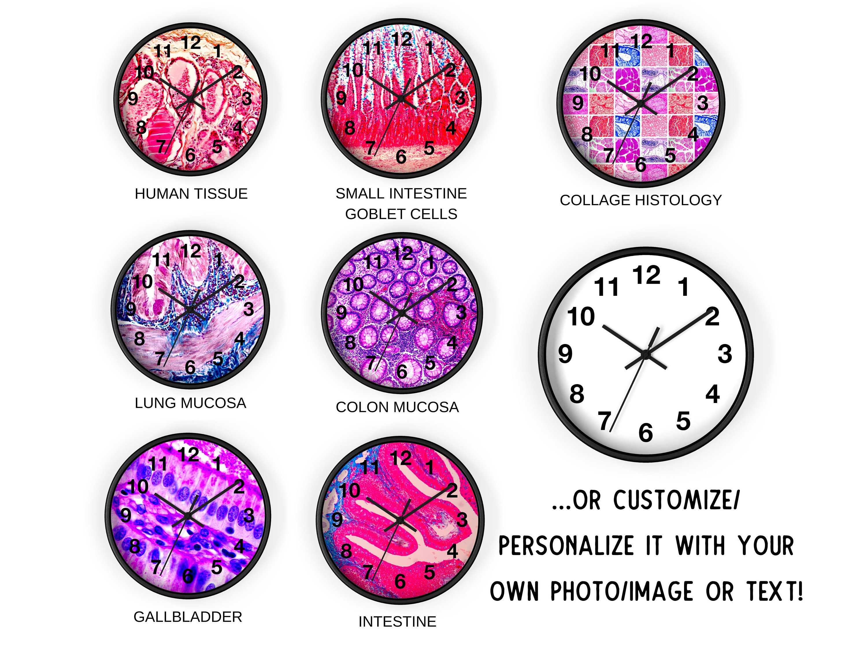 Customizable Histology Clock, Histology Gift, Histotech Gift, Pathology ...