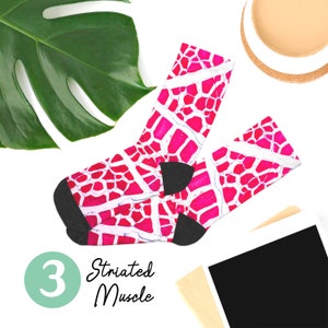 Histopathology Socks, Histology Gift, Pathology Socks, Lab Week Gift ...