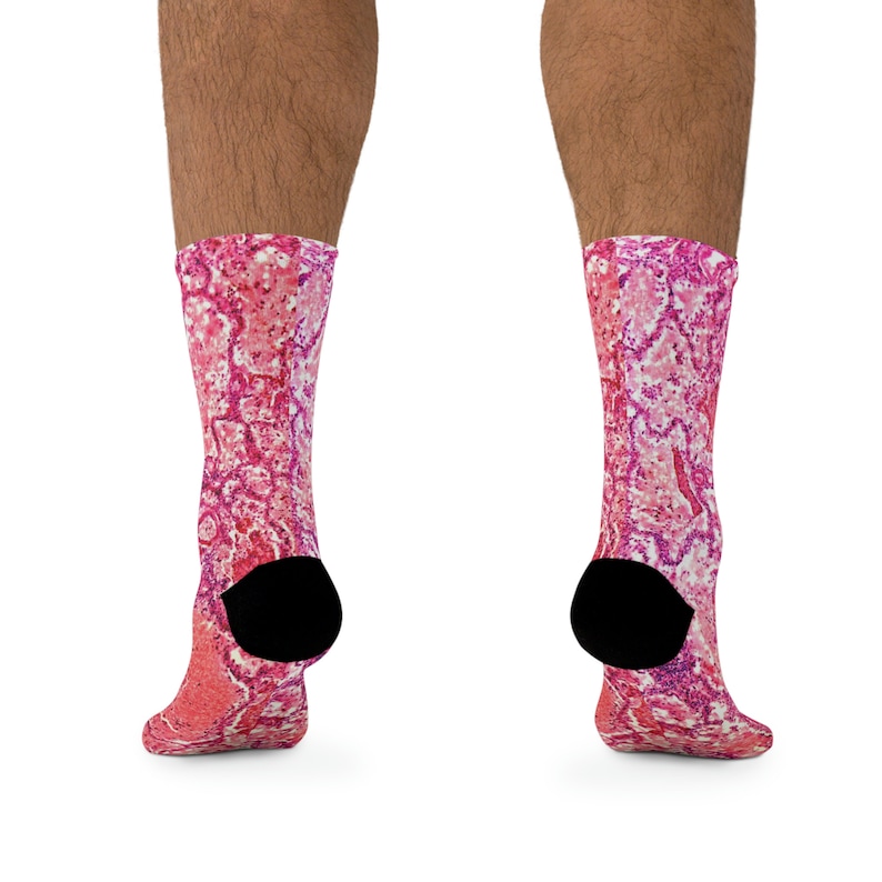 Lung Histology Socks Pathology Socks Histotech Socks - Etsy