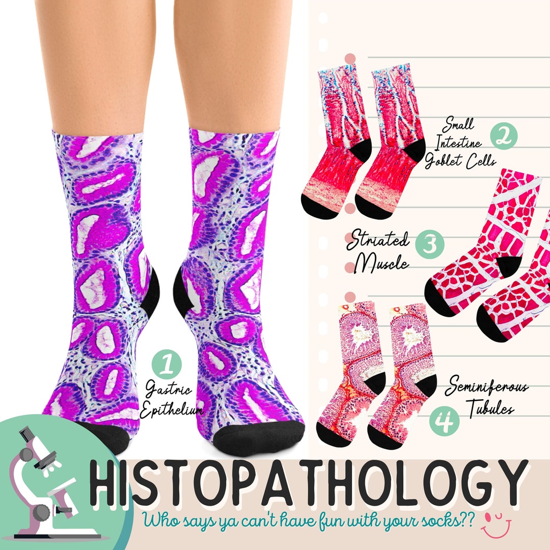Histopathology Socks, Histology Gift, Pathology Graduation, Lab Week ...