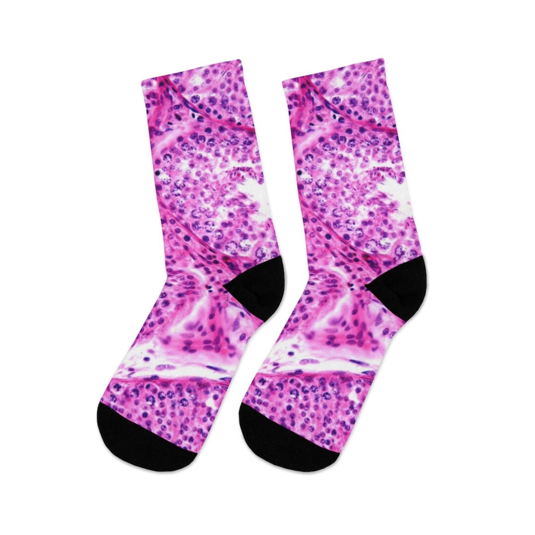 HUMAN TESTIS SOCKS, Anatomy Socks, Histology Graduation Gift, Pathology ...