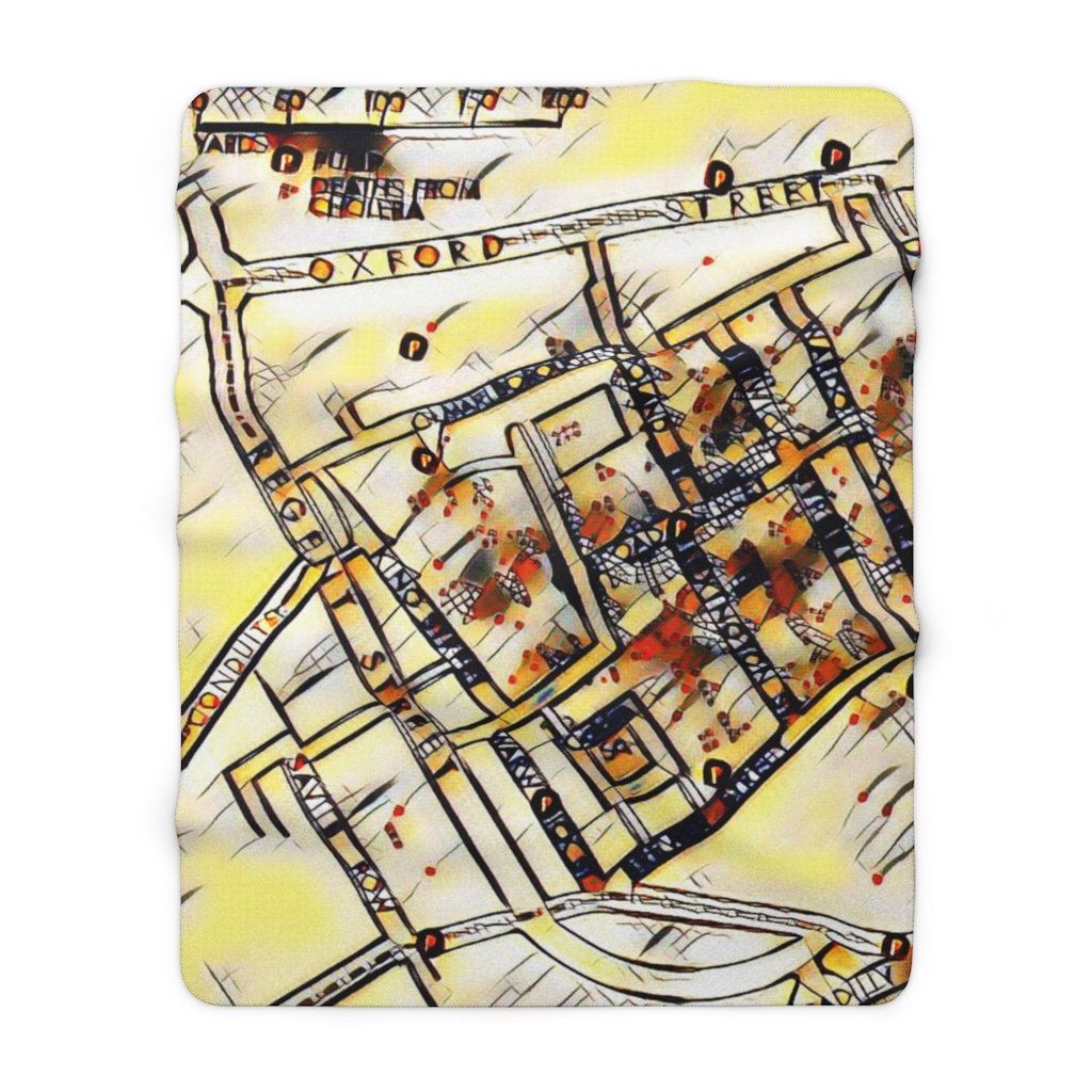 1854 CHOLERA PUMP OUTBREAK Map Blanket, Epidemiologist Gift ...