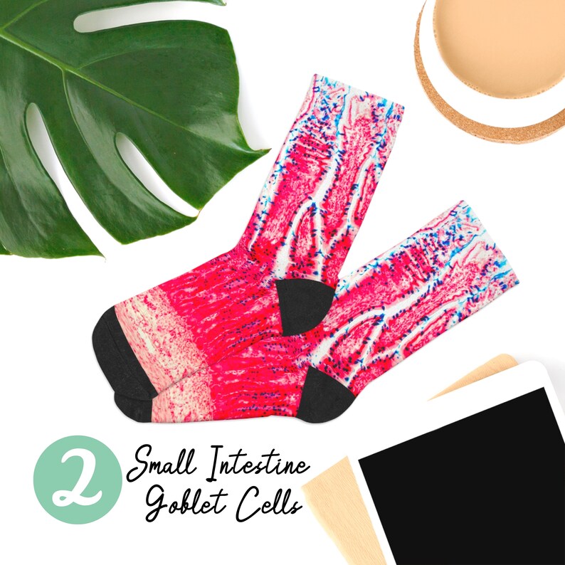 Histopathology Socks Histology Gift Pathology Socks Lab - Etsy