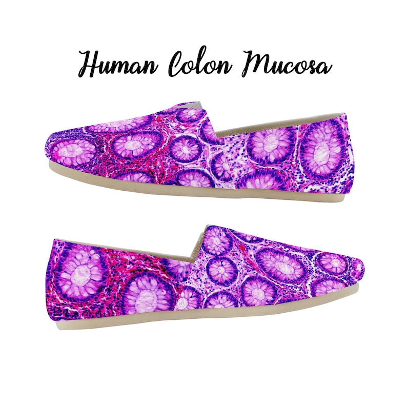 Histology Shoes Pathology Shoes Medical Student Graduation - Etsy