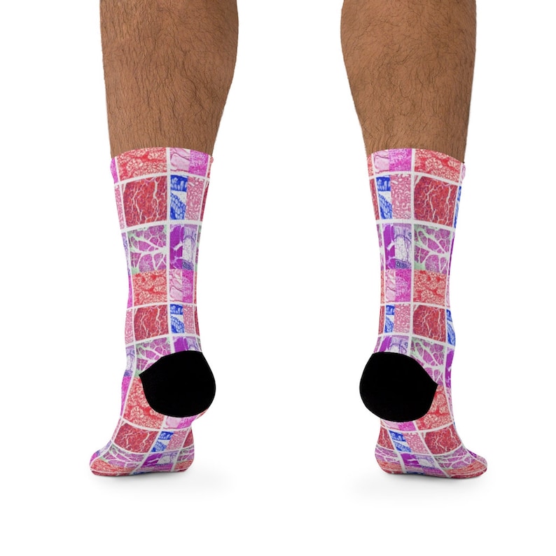 HISTOLOGY SOCKS Pathology Gift Cytology Socks Medical Lab - Etsy