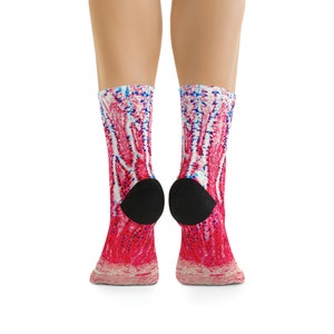 Small Intestine Goblet Cells Histology Socks, Pathology Gift, GI Nurse ...