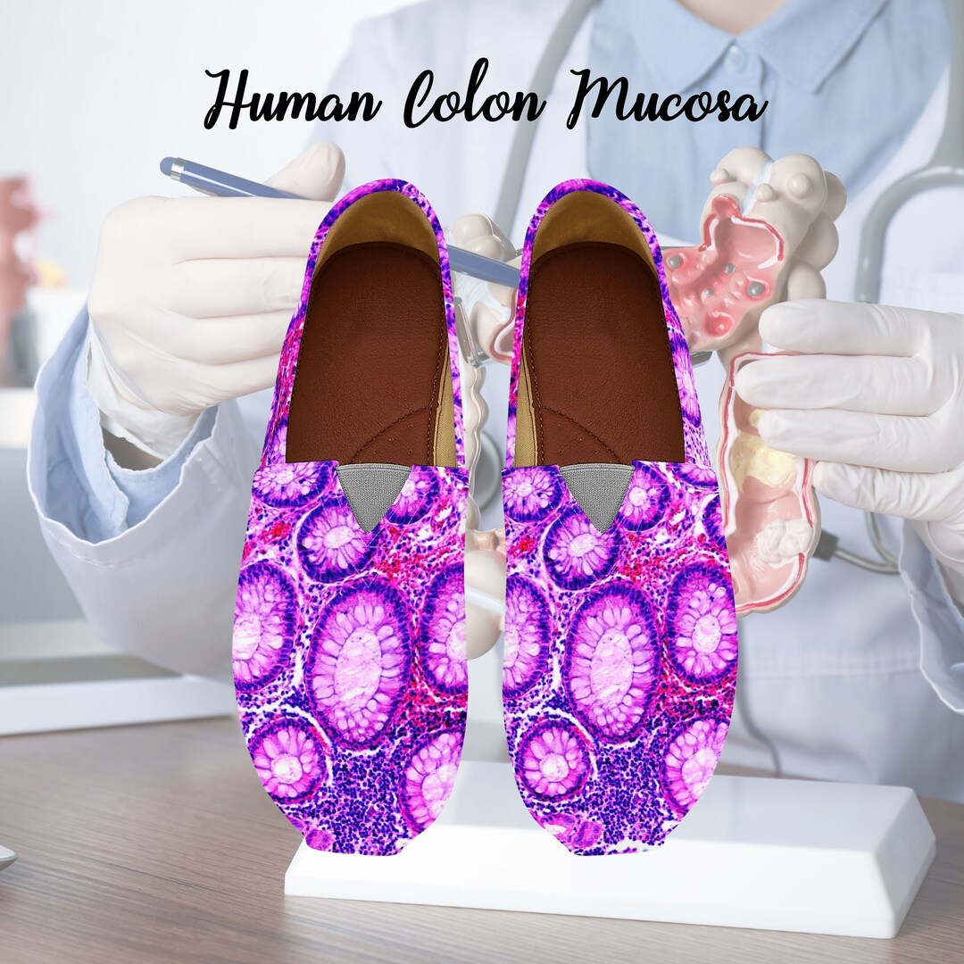 Histology Shoes, Pathology Shoes, Medical Student Graduation Gift, Gastroentorology Nurse Shoes ...