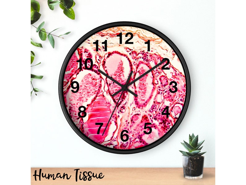 Customizable Histology Clock, Histology Gift, Histotech Gift, Pathology ...