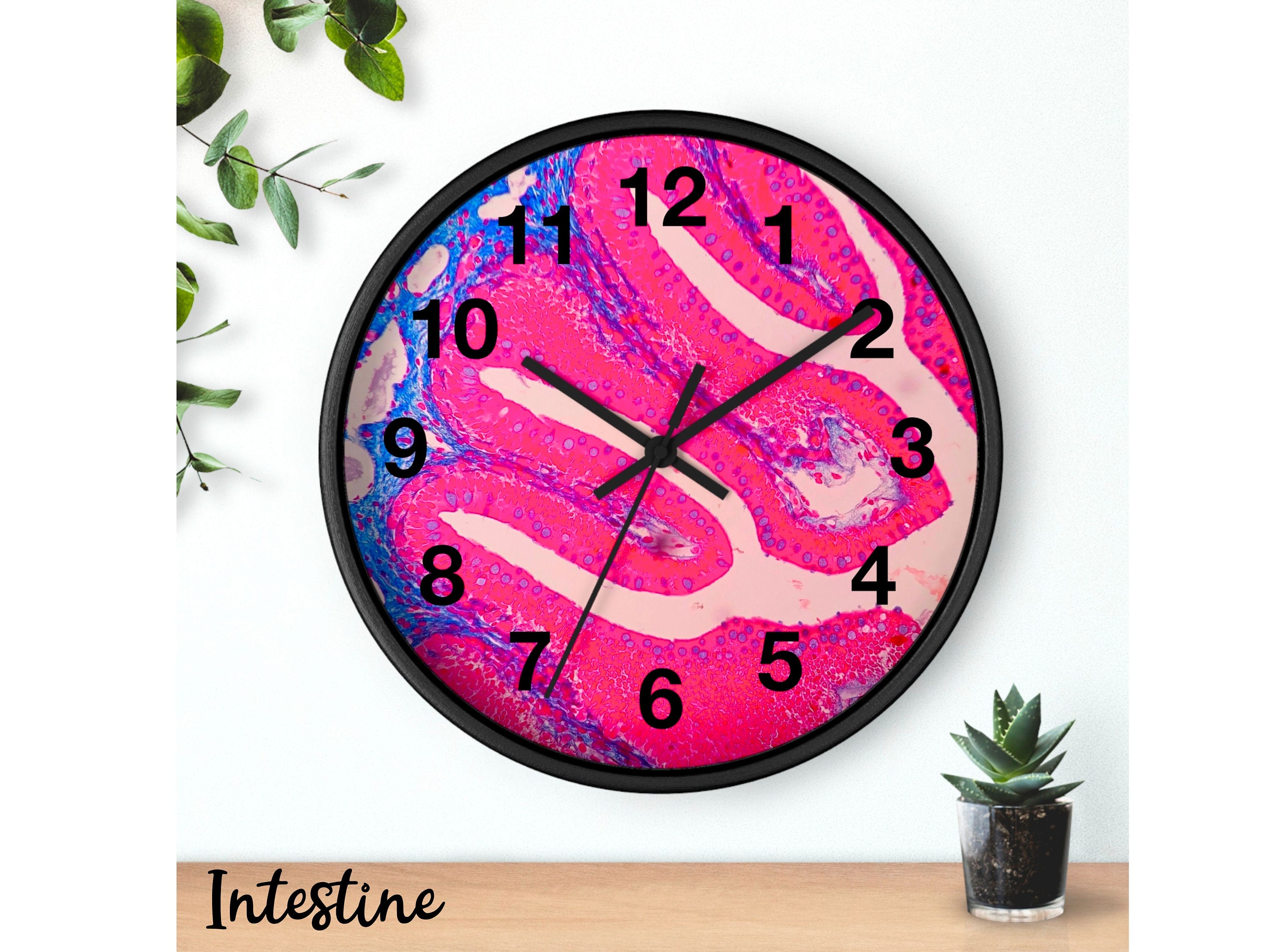 Customizable Histology Clock, Histology Gift, Histotech Gift, Pathology ...