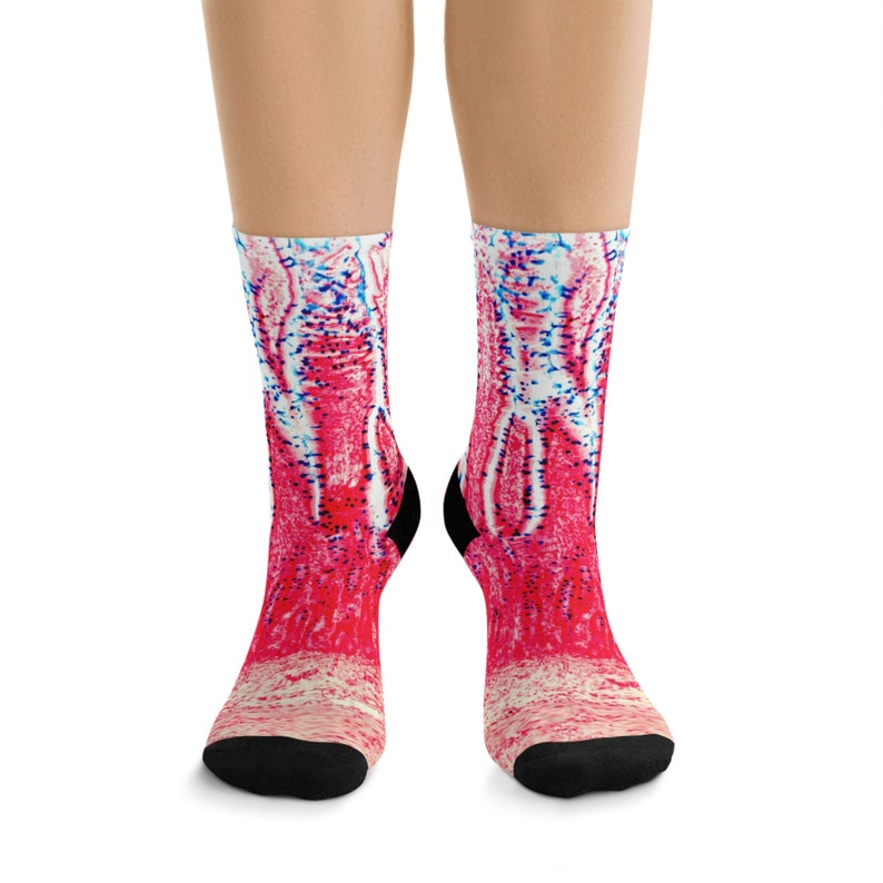 Small Intestine Goblet Cells Histology Socks Pathology Gift - Etsy