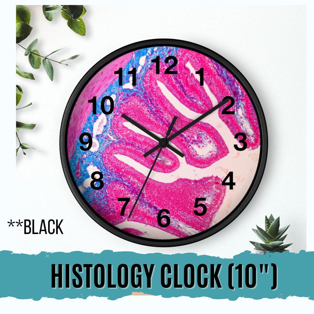 Customizable Histology Clock, Histology Gift, Histotech Gift, Pathology ...