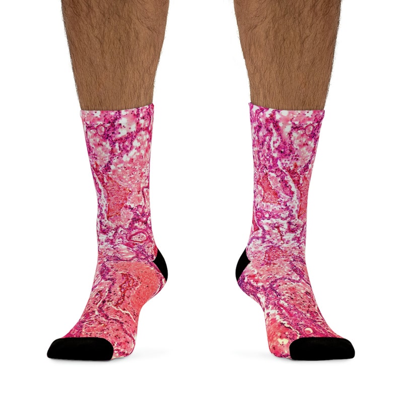 Lung Histology Socks Pathology Socks Histotech Socks - Etsy