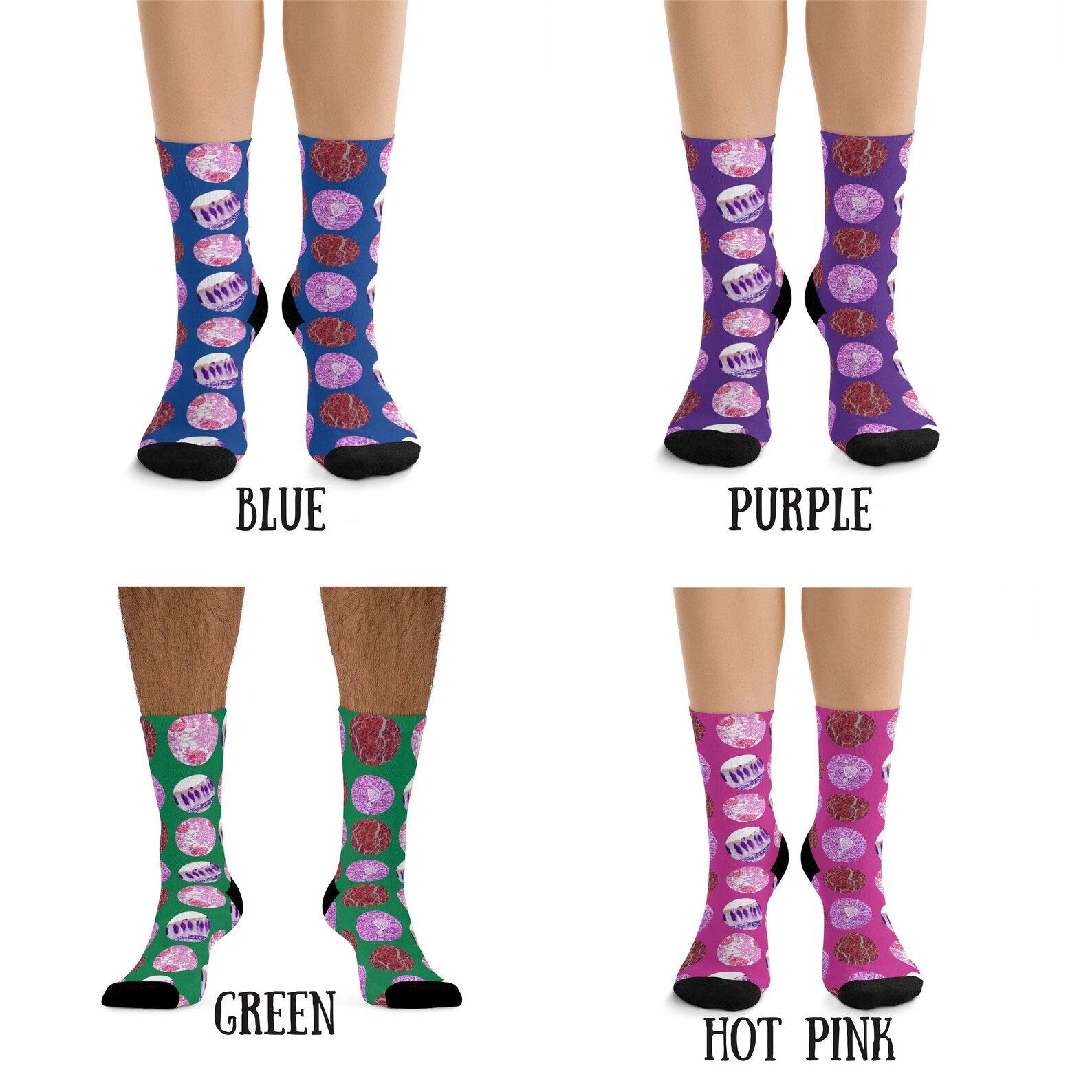 HISTOLOGY SOCKS Histotechnology Pathology Medical Lab - Etsy Denmark