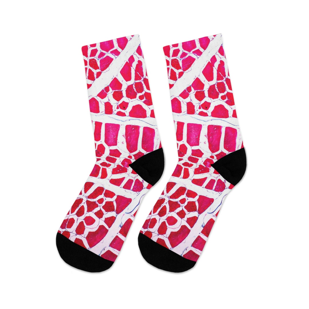 Striated Muscle Histology Socks, Pathology Socks, Anatomy Socks ...