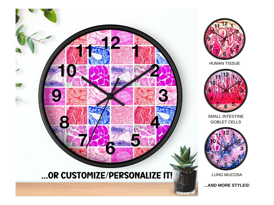Customizable Histology Clock, Histology Gift, Histotech Gift, Pathology ...