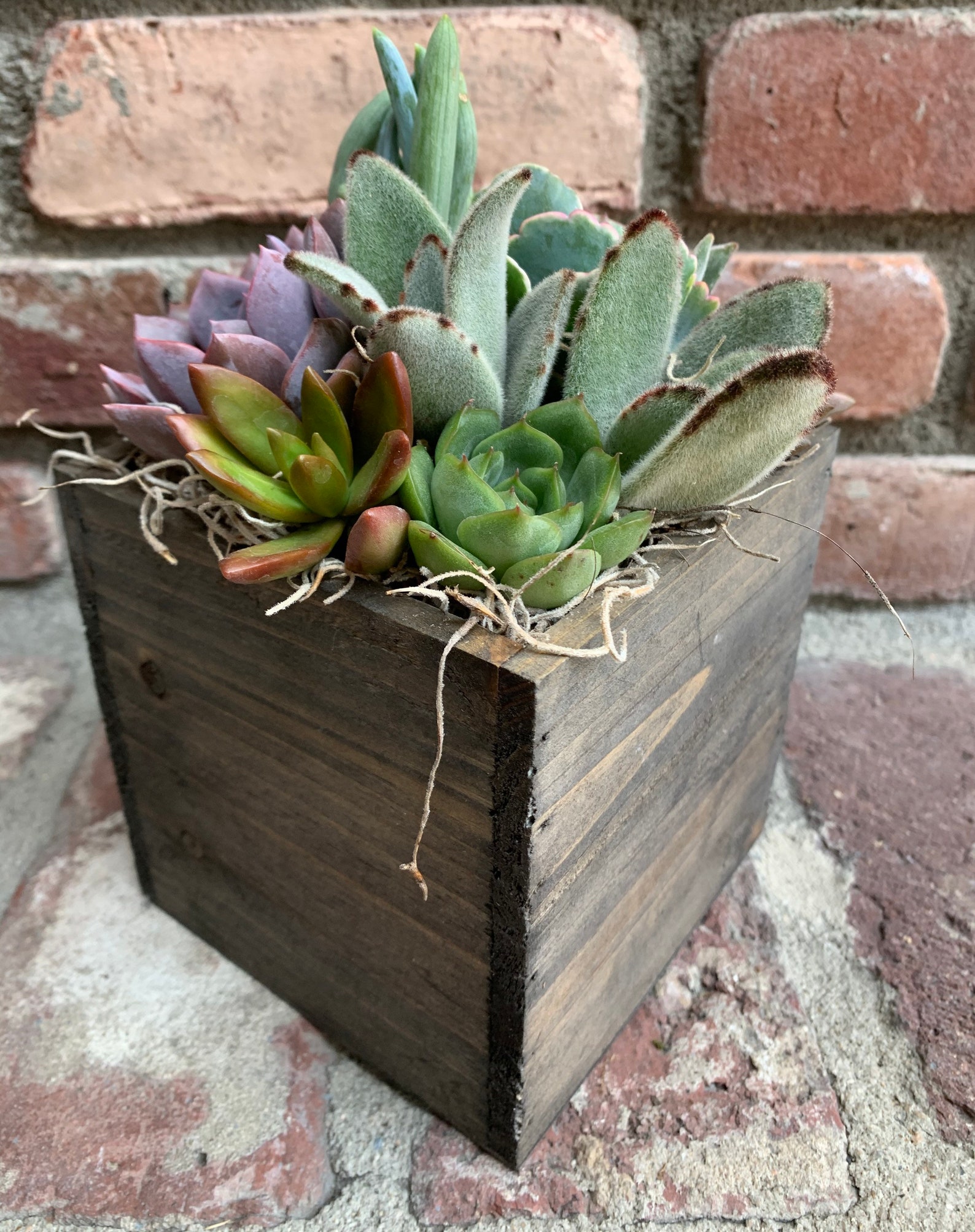 Stunning 5x5” Wood Box Arrangement - Etsy