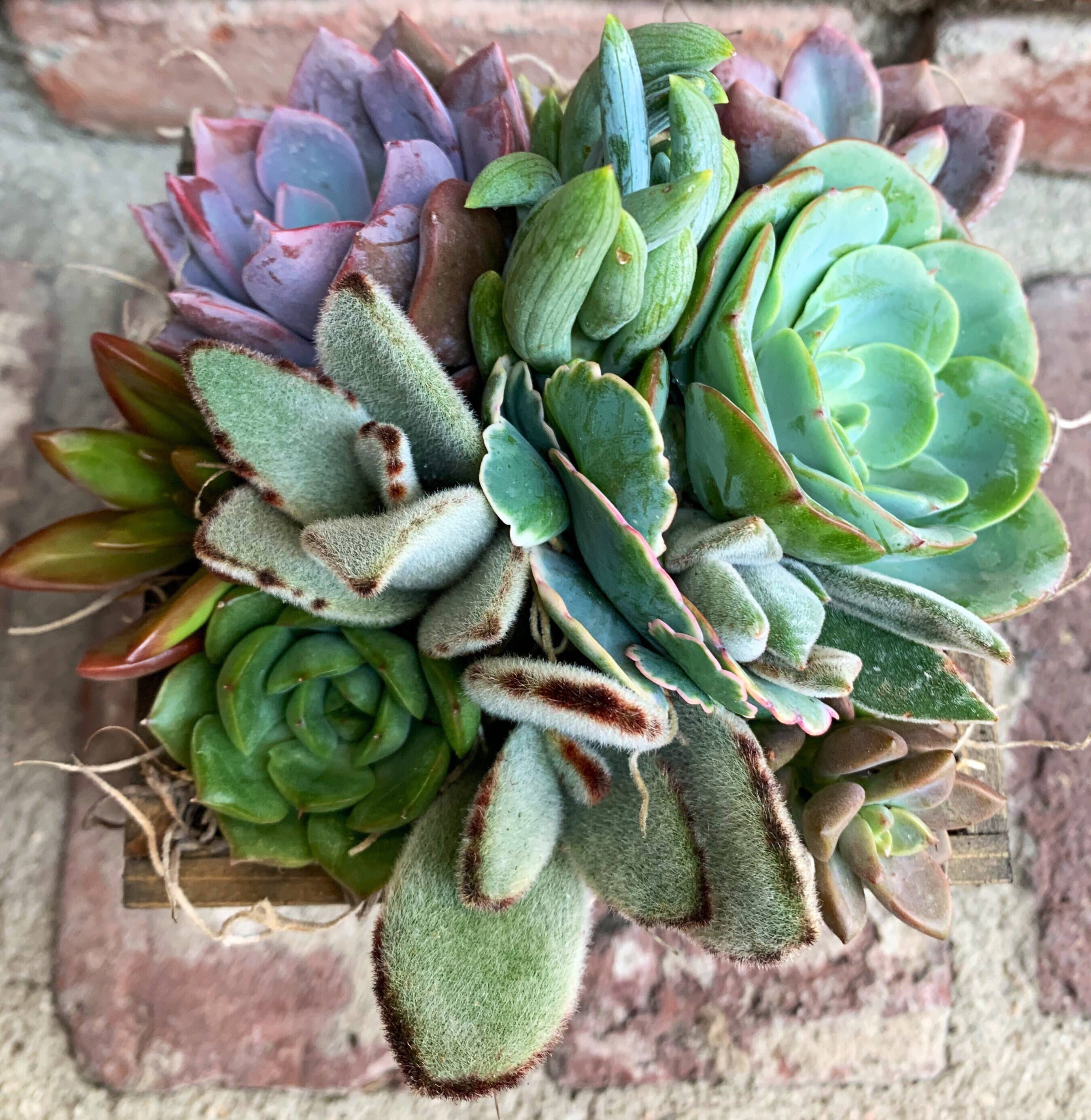 Stunning 5x5” Wood Box Arrangement - Etsy