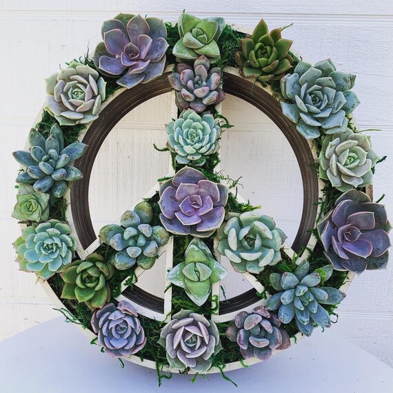 Peace Sign Planter filled with succulents | Etsy