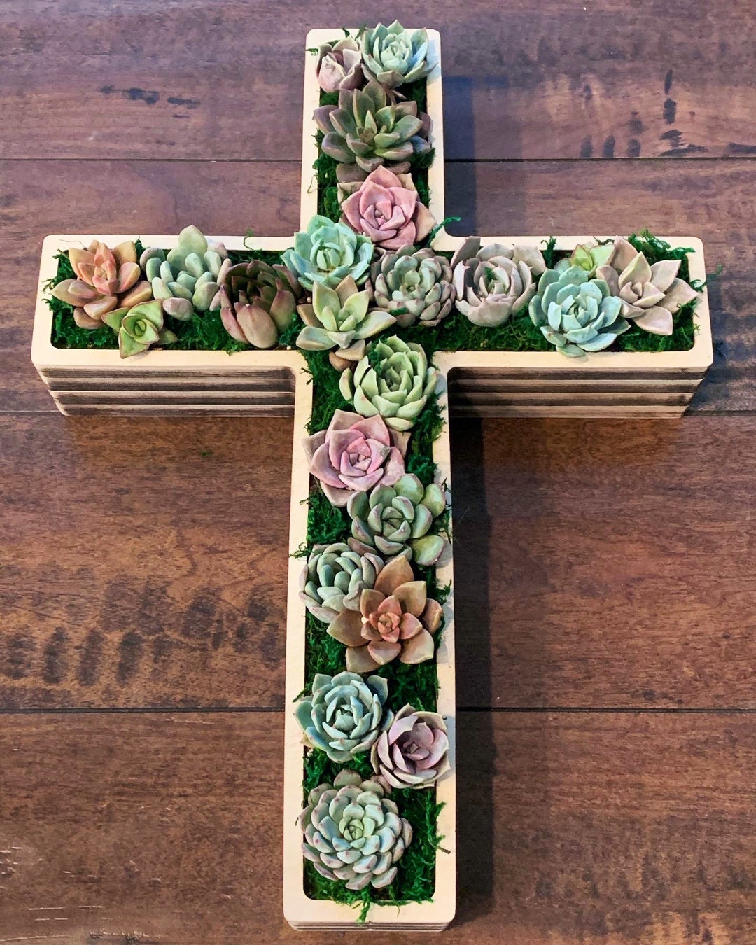 Large Wood Cross Filled With Colorful Live Succulents! - Etsy
