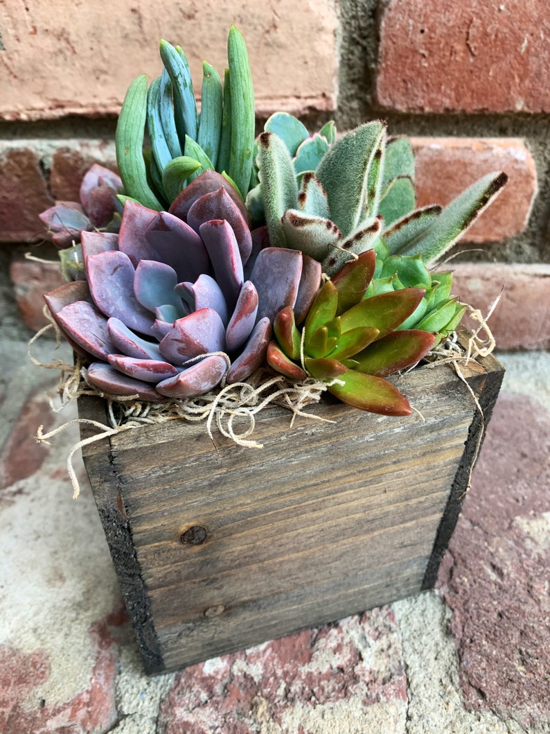Stunning 5x5” Wood Box Arrangement - Etsy