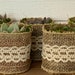 Succulents Wrapped in Burlap & Lace - Etsy