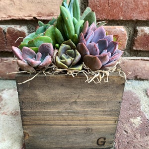 Stunning 5x5” Wood Box Arrangement - Etsy