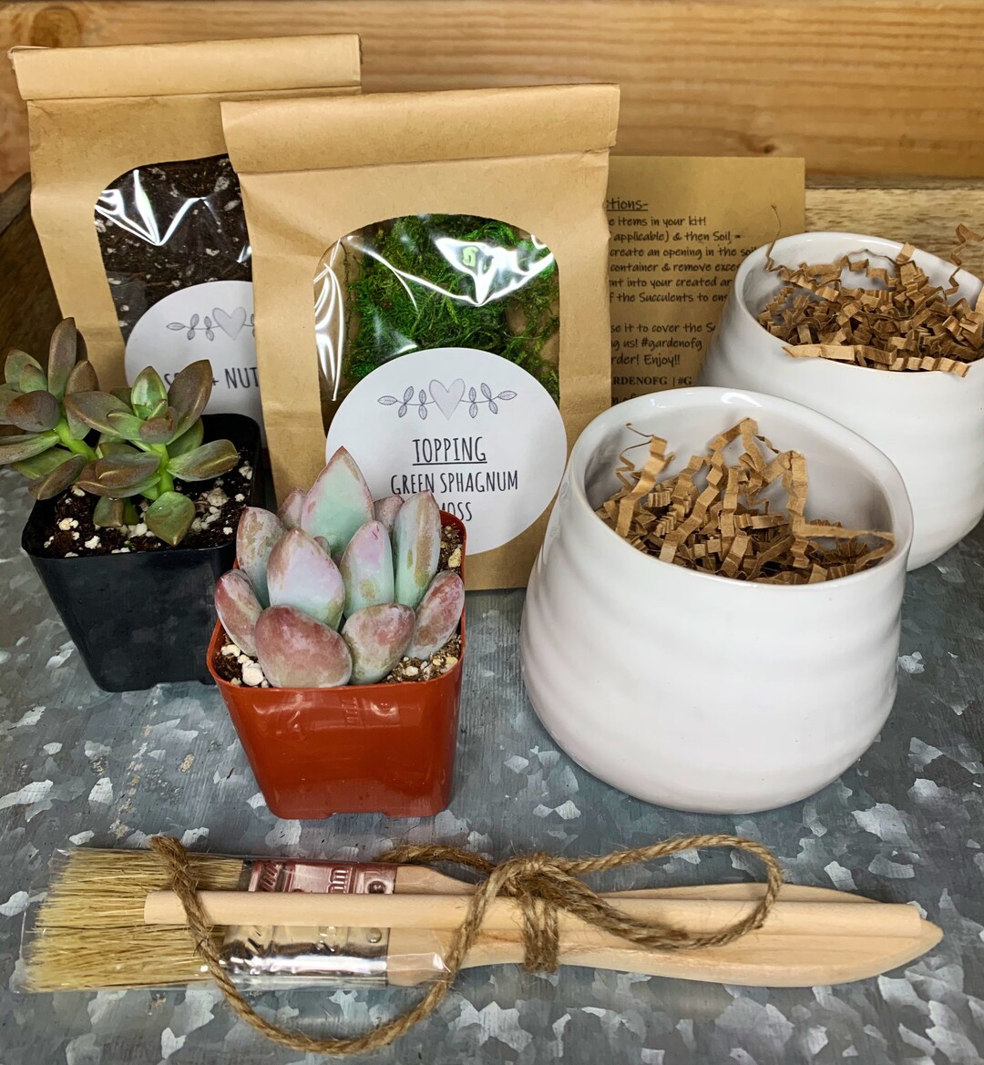 DIY Mini Kit!! - Etsy