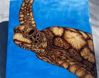 Sea Turtle Woodburning - Etsy
