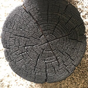 Stump End Table Charred Cedar Wood Shou Sugi Ban Yuki Sugi - Etsy