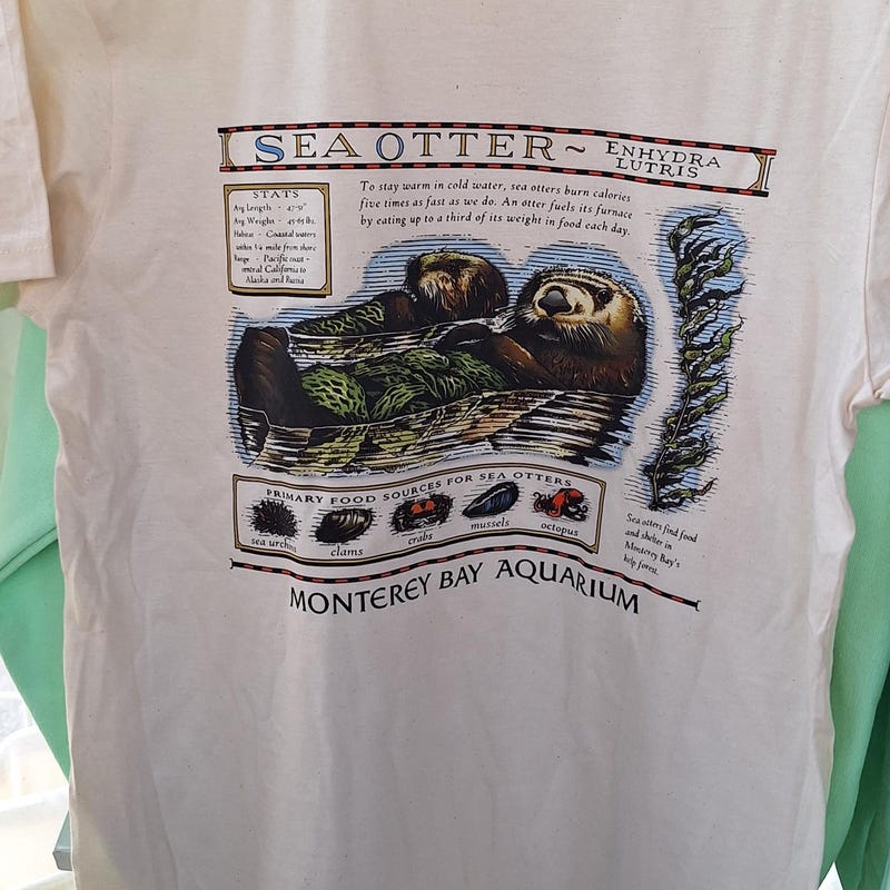 Monterey Bay - Etsy