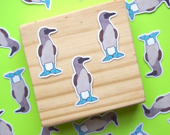 Blue Footed Booby Sticker - Etsy