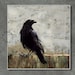 Acrylic Crow Painting Original Bird Oil Painting on Canvas Black Raven ...