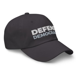DEFEND DEMOCRACY Embroidered Baseball Hat, Grey - Etsy