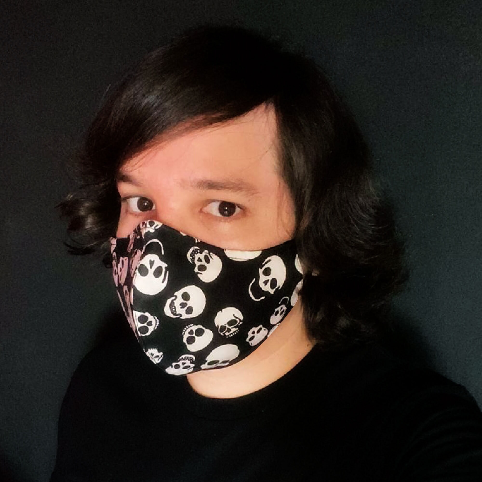 Skulls Face Mask / 3 capas con alambre nasal y bolsillo de | Etsy