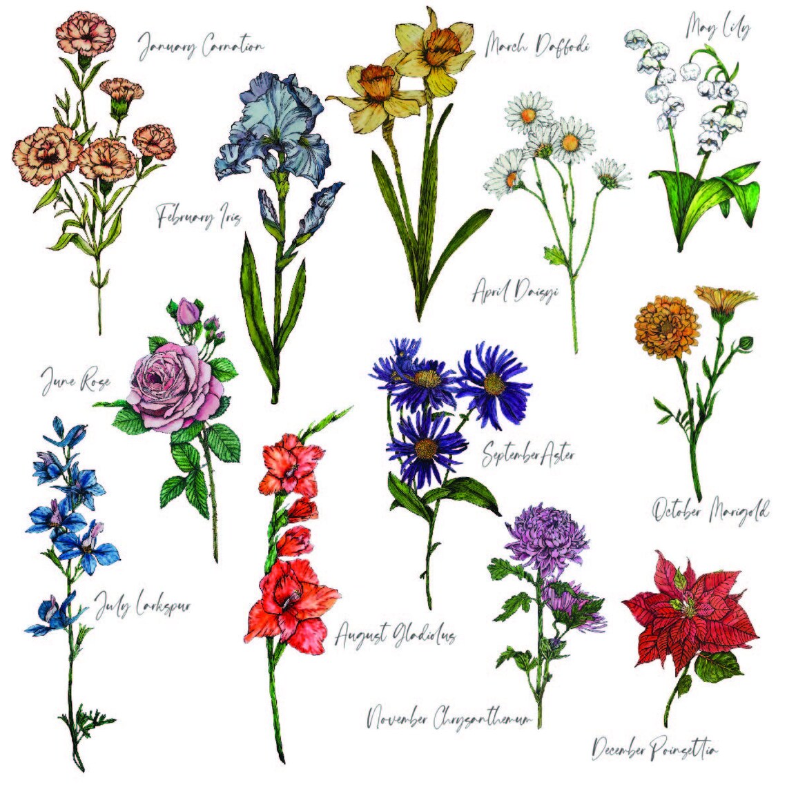 Personalised February Birth Flower Print / Birth Flower Hand - Etsy