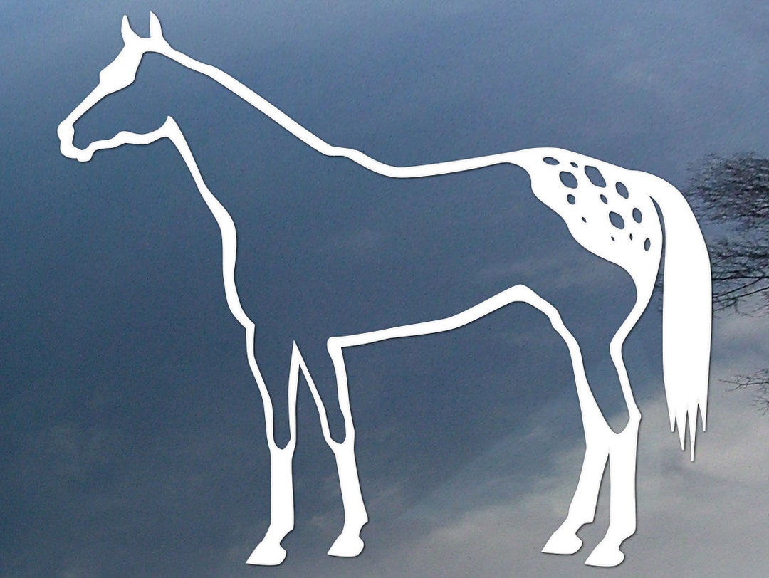 Appaloosa Horse Vinyl Decal, Car Window Sticker, Design for Truck or ...