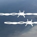 Barbed Wire, Barb, Spike, Fence, Decal, Car Decal, Laptop Decal, Yeti ...